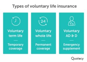What Is Voluntary Life Insurance? Do I Need It? - Quotacy