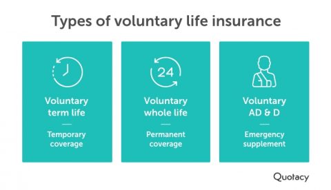 What Is Voluntary Life Insurance? Do I Need It? - Quotacy