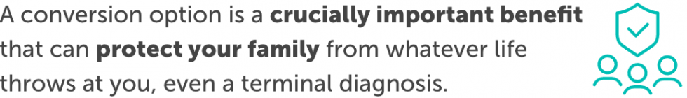 A Guide to Converting Term Life to Whole Life Insurance